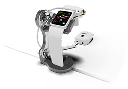 Retail Security Solutions Global Leader: Vanguard Protex Global